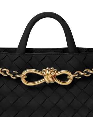 Bottega Veneta Small Andiamo Chain Bag