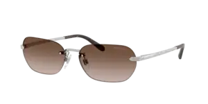 Ralph Lauren Sunglasses - Gradient Brown