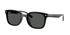 Ray-ban Dark Sunglasses