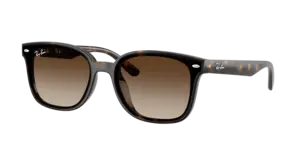 Ray-ban Ray-Ban Unisex Sunglasses Gradient Brown