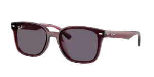 Ray-ban Ray-Ban Unisex Sunglasses Violet