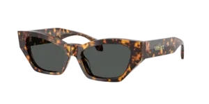Versace VERSACE Sunglasses Dark Grey