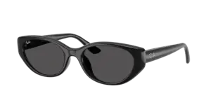 Ray-ban Ray-Ban Bio-Based Sunglasses Dark Grey