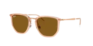 Ray-ban Ray-Ban Sunglass Brown