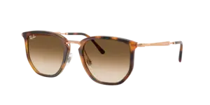 Ray-ban Sunglass - Clear Gradient Brown