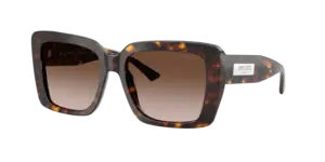 JIMMY CHOO Sunglasses - Brown Gradient