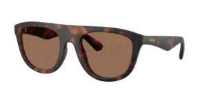Burberry Burberry Sunglasses