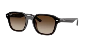 Ray-ban Ray-Ban Sunglasses Gradient Brown