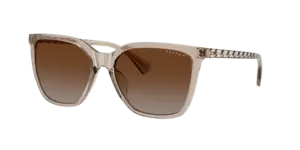 Ralph Lauren Sunglasses Polarized Brown