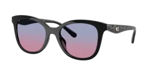 COACH Sunglasses HC8419U Grey Solid