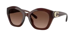 COACH Sunglasses Brown Gradient Polar
