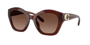 COACH Coach Sunglasses Brown Gradient Polarized