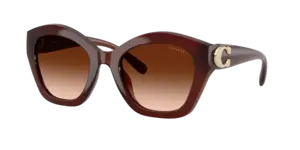 COACH Coach Sunglasses Brown Gradient