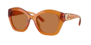 COACH Sunglasses - Brown Solid