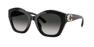 COACH Sunglasses Grey Gradient