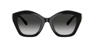 COACH Sunglasses - Grey Gradient