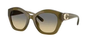 COACH Coach Sunglasses Grey Olive Gradient
