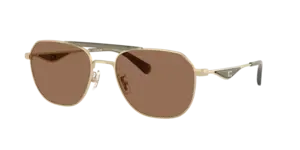 COACH Sunglasses - Brown Solid