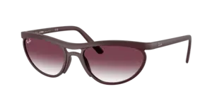 Ray-ban Sunglasses - Clear Gradient Dark Violet