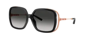 COACH Sunglasses - Grey Gradient