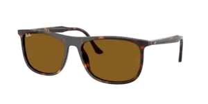 Ray-ban Sunglasses Brown
