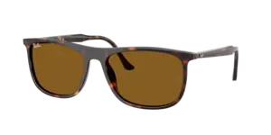 Ray-ban Sunglasses Brown