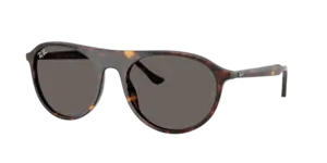 Ray-ban Sunglasses - Clear Gradient Brown