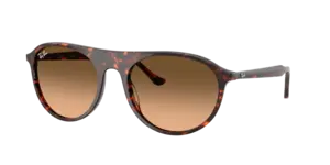 Ray-ban RAY-BAN Sunglasses Pink Gradient Black