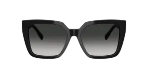 Tiffany & Co. Sunglasses - Grey Gradient