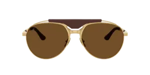 FERRARI Sunglasses - Brown Polar