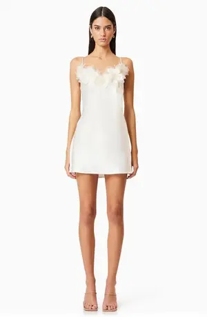 ELLIATT Katalina Organza Floral Appliqué Mini Dress