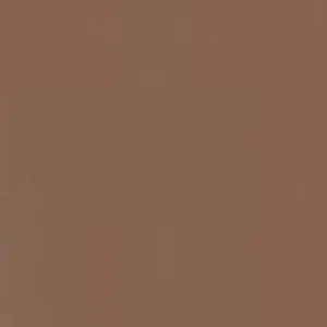 Prada Acetate Prb03s Sunglasses - Brown