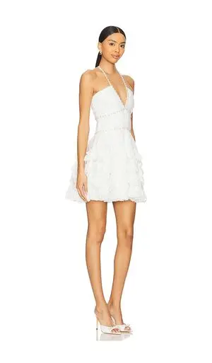 V. CHAPMAN Sophie Mini Dress