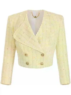 Elisabetta Franchi Lurex Blazer