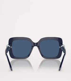 SWAROVSKI Acetate Sunglasses