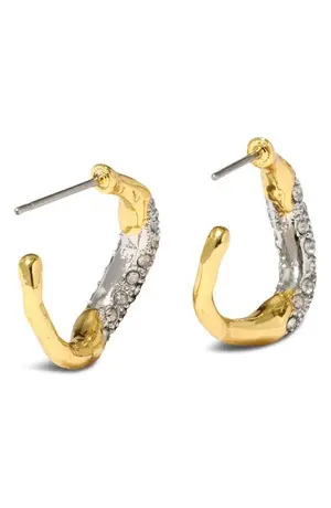Alexis Bittar Solanales Crystal Hoop Earrings - Crystals