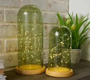 HOME REFLECTIONS S/2 Colored Glass Cloches W/ Fairy Lights - One-color