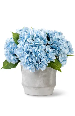 COCOBELLA Ryann Realtouch Hydrangea Arrangement - Azure