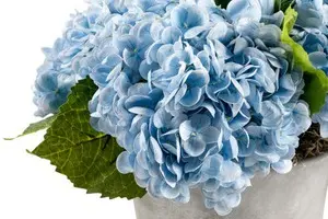 COCOBELLA Ryann Realtouch Hydrangea Arrangement - Azure
