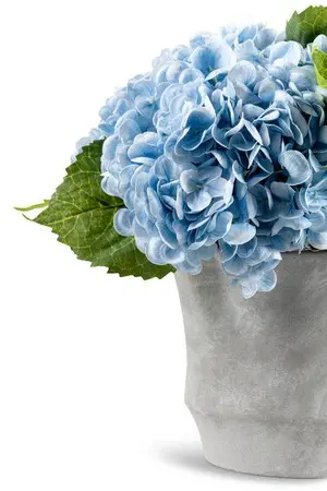 COCOBELLA Ryann Realtouch Hydrangea Arrangement - Azure