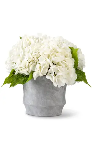 COCOBELLA Ryann Realtouch Hydrangea Arrangement - Snow