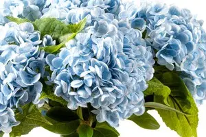 COCOBELLA Marla Realtouch Hydrangea Arrangement