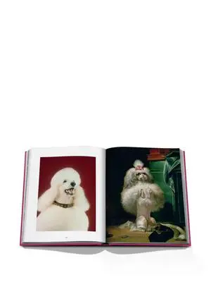 Assouline Chic Dogs Robert Williams Book
