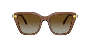 SWAROVSKI Sk6041 Sunglasses - Gradient Brown Polar