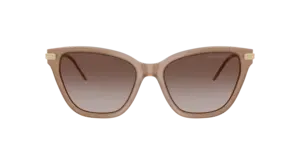 Emporio Armani Sunglasses - Gradient Brown