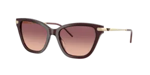 Emporio Armani Sunglasses - Pink Gradient Violet