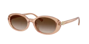 Tiffany & Co. Sunglasses - Brown Gradient