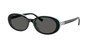 Tiffany & Co. Sunglasses Dark Grey
