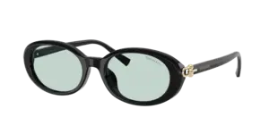 Tiffany & Co. Sunglasses - Light Azure