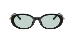 Tiffany & Co. Sunglasses - Light Azure